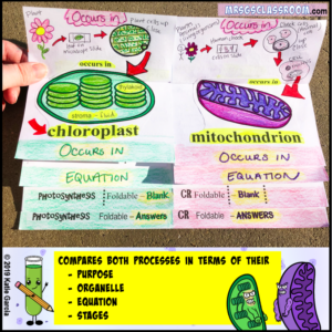 HERE ARE 7 AWESOME FOLDABLES TO LIVEN UP YOUR SCIENCE INTERACTIVE ...